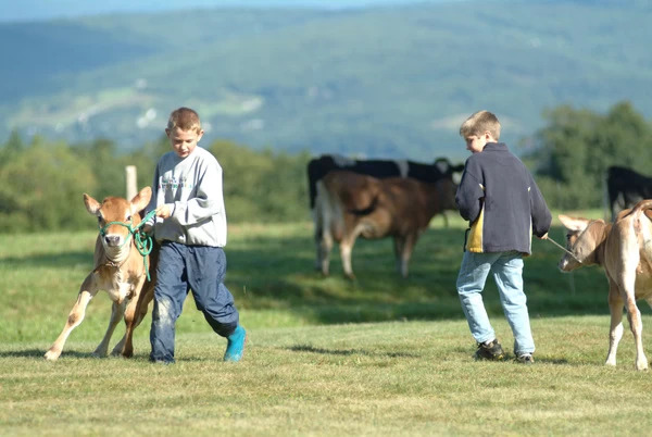 These Are the Advantages of Farm Life for Kids - Mommybites