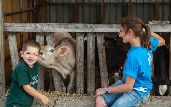 These Are the Advantages of Farm Life for Kids - Mommybites